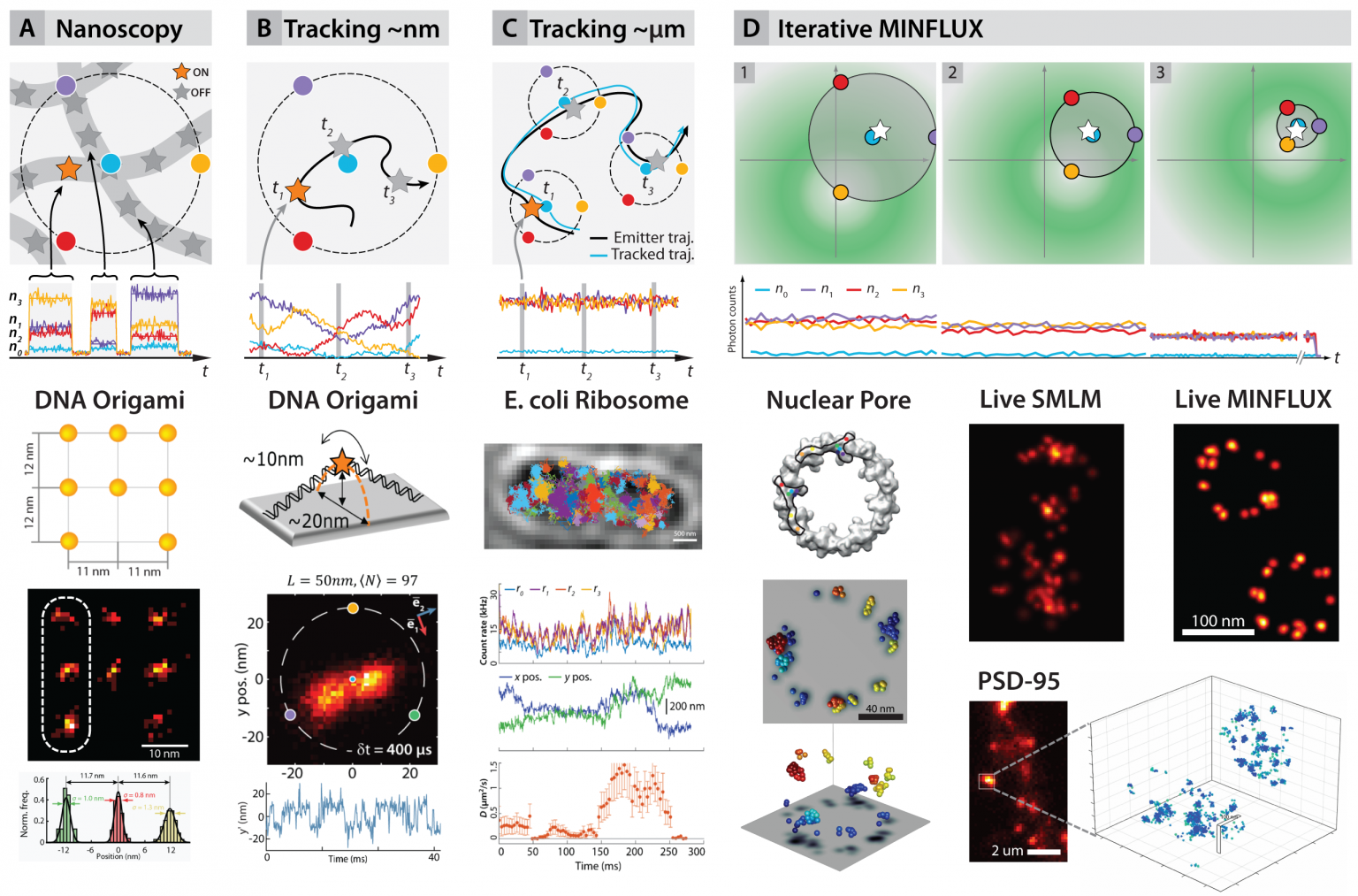 Research – Balzarotti Lab